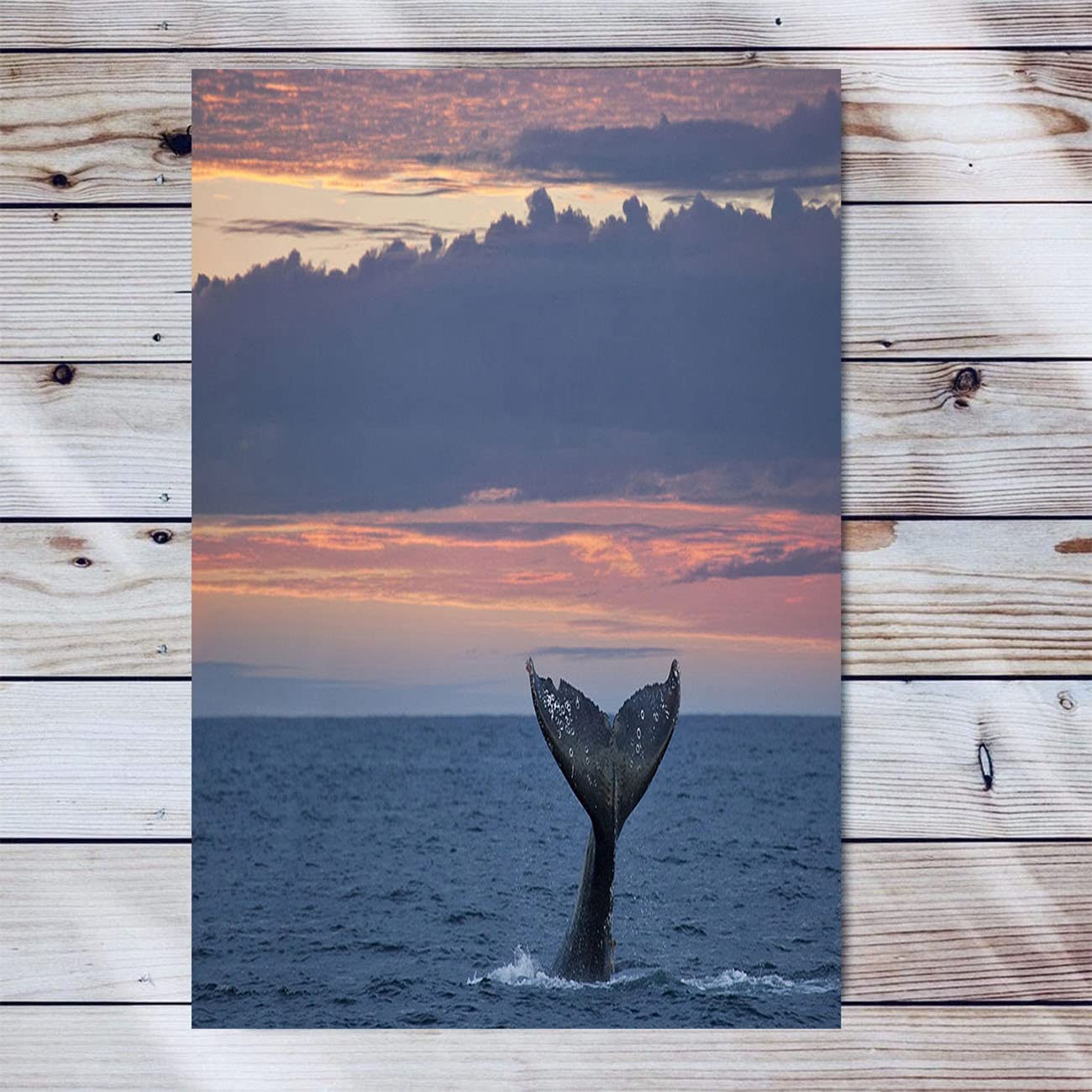 Whale Sunset Blue Canvas Wall Art Artwork Wooden Frame Painting Sea ...