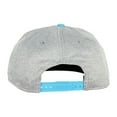 Sonic The Hedgehog Face Snapback Youth Hat - Walmart.com