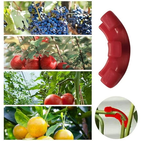 90 Degree Plant Trainers for Low Stress Training 90 and Plant Training ...