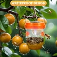 QARUN Wasp Traps for Wasps, Bees, Hornets, Insects, Yellow Jacket Traps ...