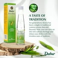 Keora (Kewra) Water - Unleashing the tivating Essence of Nature's ...