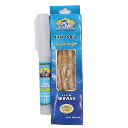 Himalayan Pink Salt Toothbrush & Toothpaste Set - 3.4 oz [Ice Mint ...