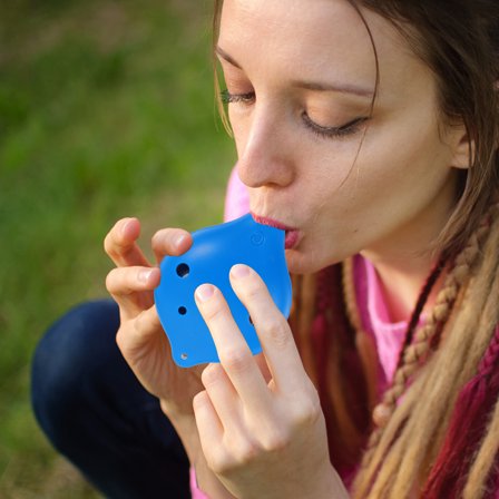 The Legend of Zelda Officially Licensed 2-Mode Electronic Ocarina of ...