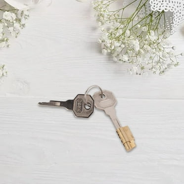 APG Vasario Series Cash Drawer Replacement Key | Compatible with APG’s ...