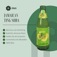 D&G Jamaican Ting Grapefruit Soda-10.14oz-Delicious And Refreshing Soda ...