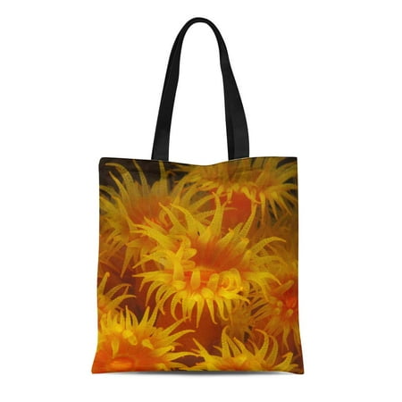 HATIART Canvas Tote Bag Red Delicate Yellow Polyps Macro of Cup Coral ...