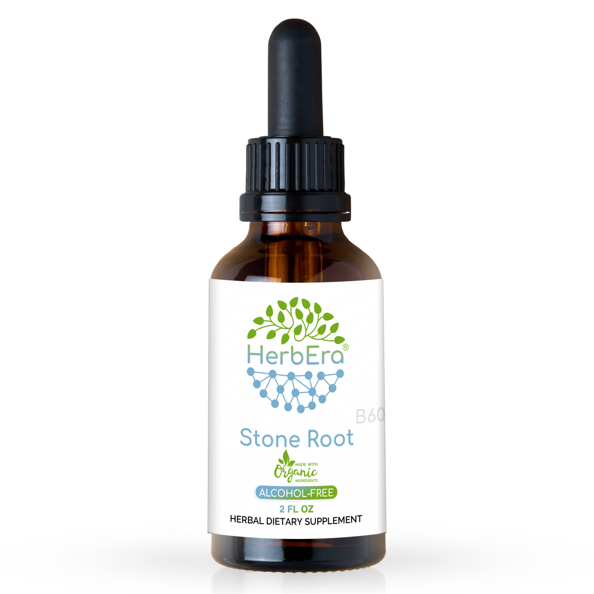 Stone Root Alcohol-FREE Herbal Extract Tincture, Super-Concentrated ...