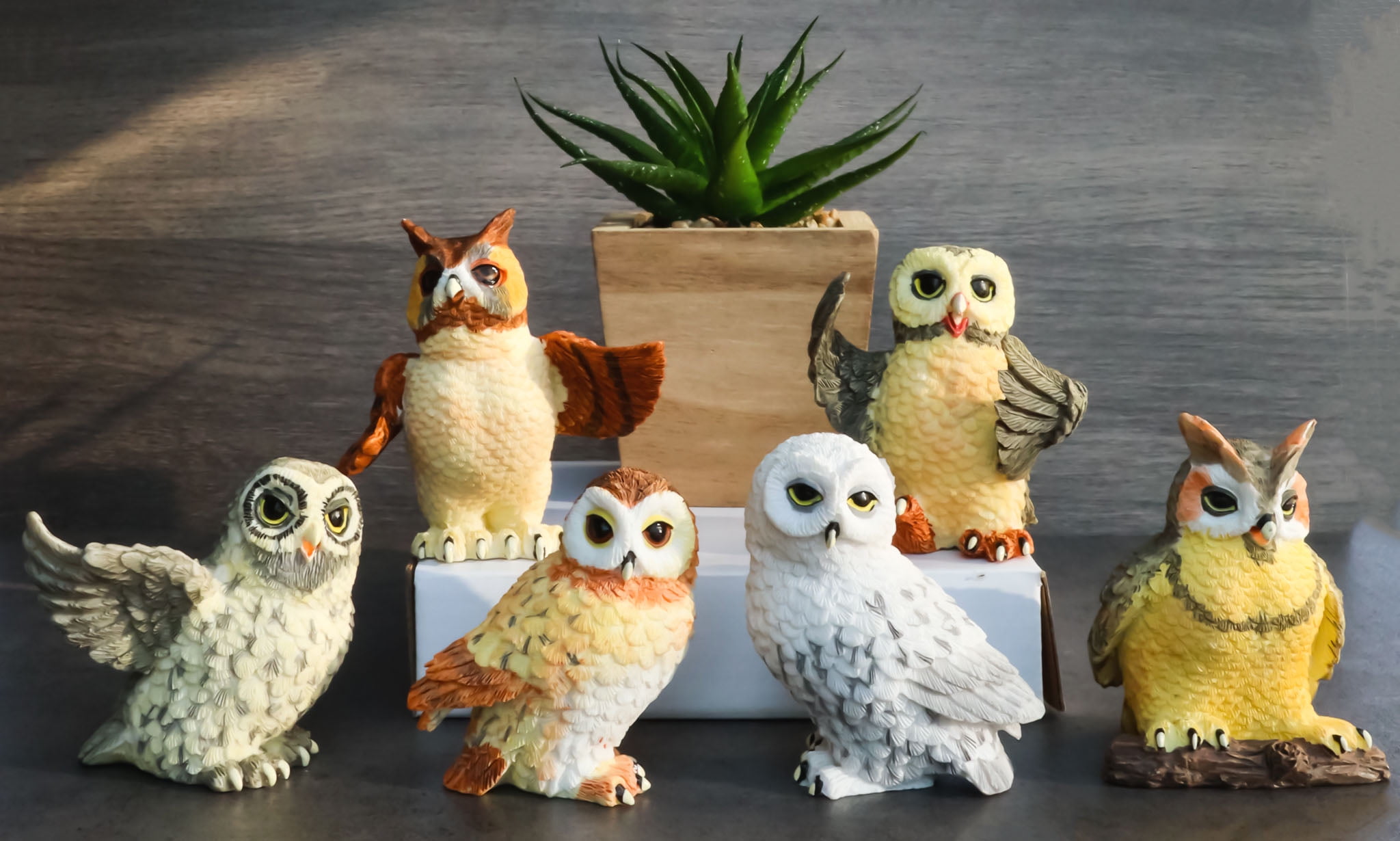 Owls of The World Colorful Nocturnal Birds In Multiple Poses Mini ...