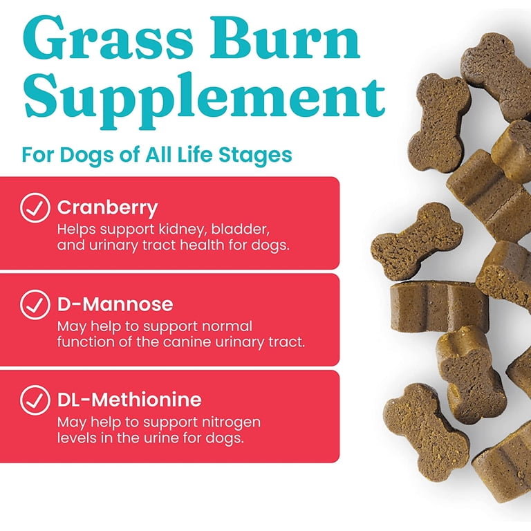 Dogs Normal Ph Level