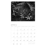 Ansel Adams 2025 Wall Calendar: Authorized Edition: 13-Month Nature ...