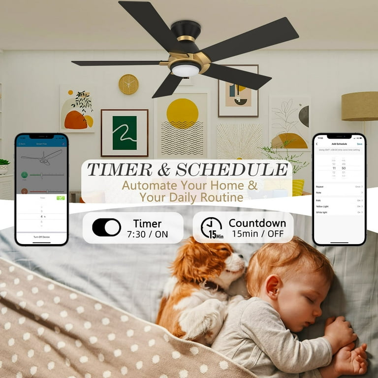 Alexa Compatible Ceiling Fan Control | Shelly Lighting