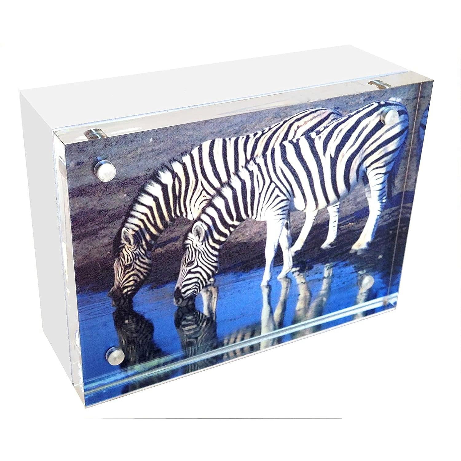 The original acrylic MUSEUM MAGNET 2one-half inchx3one-half inch FRAME ...