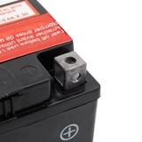 Free Shipping! EverStart AGM PowerSport Battery, Group Size 20LBS, 12V ...