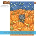 Toland Home Garden Peekaboo Cat Jack O Lantern Halloween Flag Double ...