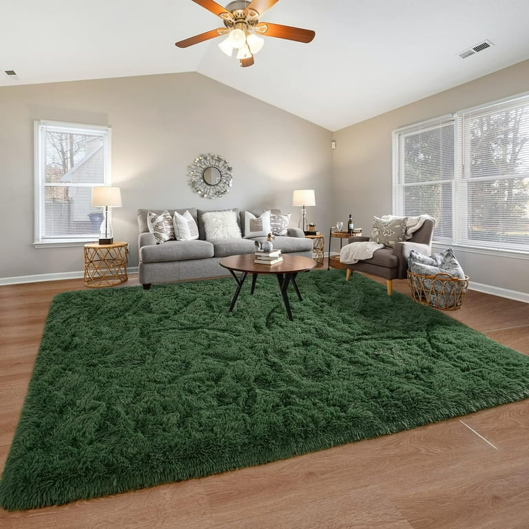 Indoor Green Living Room Rugs
