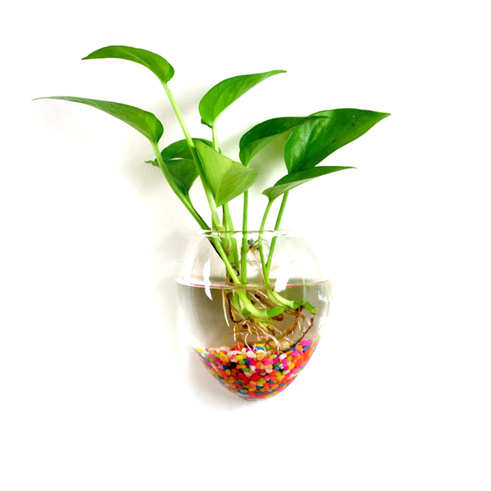 opvise Hydroponic Vase Flower Water Drop Heart Shape Transparent Wall ...