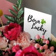 3drose, Born Lucky Typography with Clover Icon, 12 Greeting Cards with ...