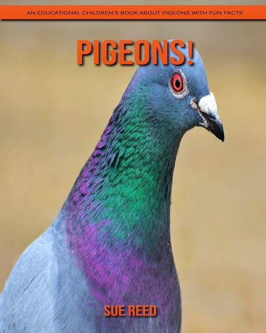 pigeons-an-educational-children-s-book-about-pigeons-with-fun-facts