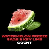 Axe Fine Fragrance Deodorant Stick for Men Watermelon Freeze, 3 oz ...