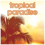 Suave 24 Hour Protection Tropical Paradise Invisible Solid Anti ...