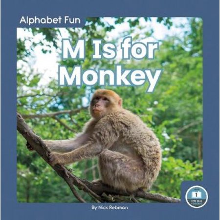 Alphabet Fun: M is for Monkey | Walmart Canada