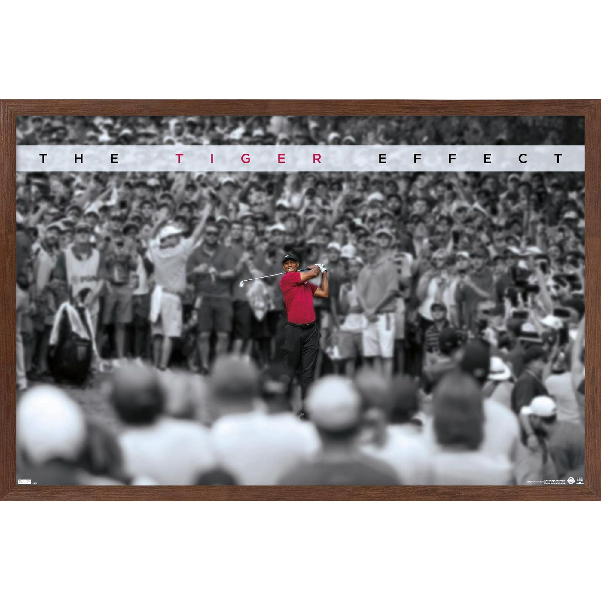 Click here for Trends International Tiger Woods - The Tiger Effec... prices