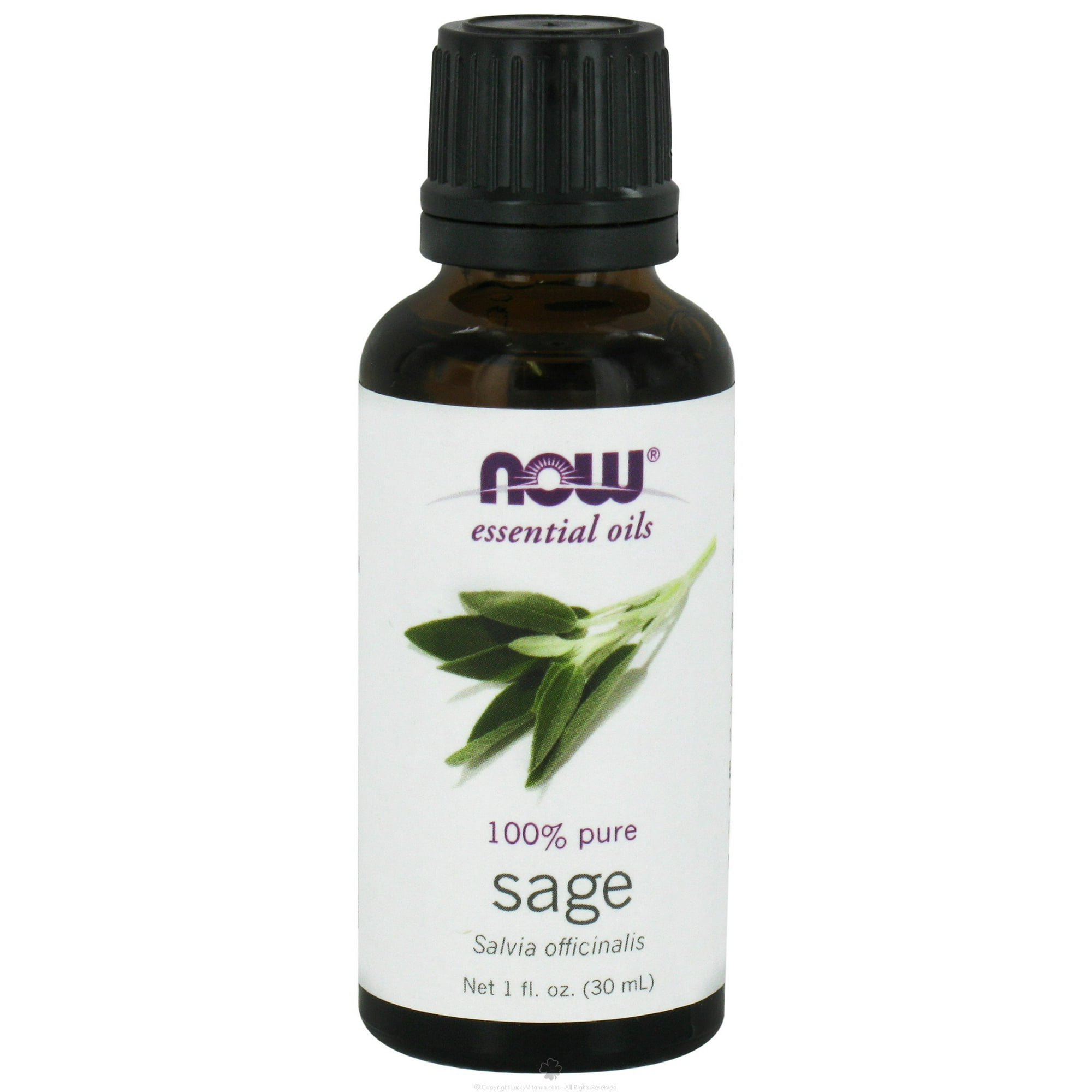 Click here for Now Foods - 100 Pure Essential Oil Sage - 1 Fl. Oz... prices