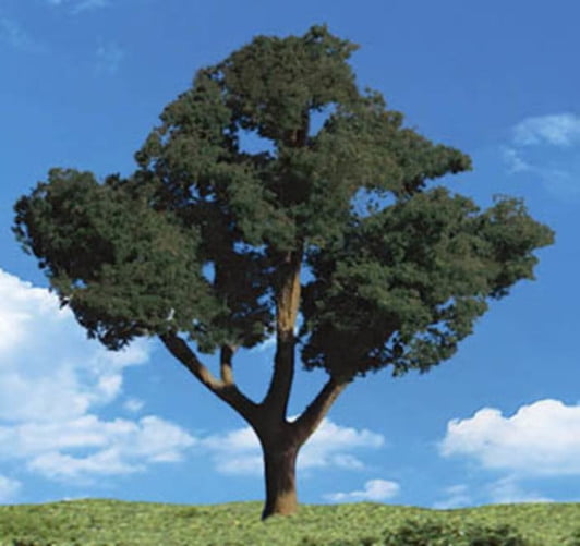 TR3548 Cool Shade Trees 1 1/4"- 2" (5) - Walmart.com