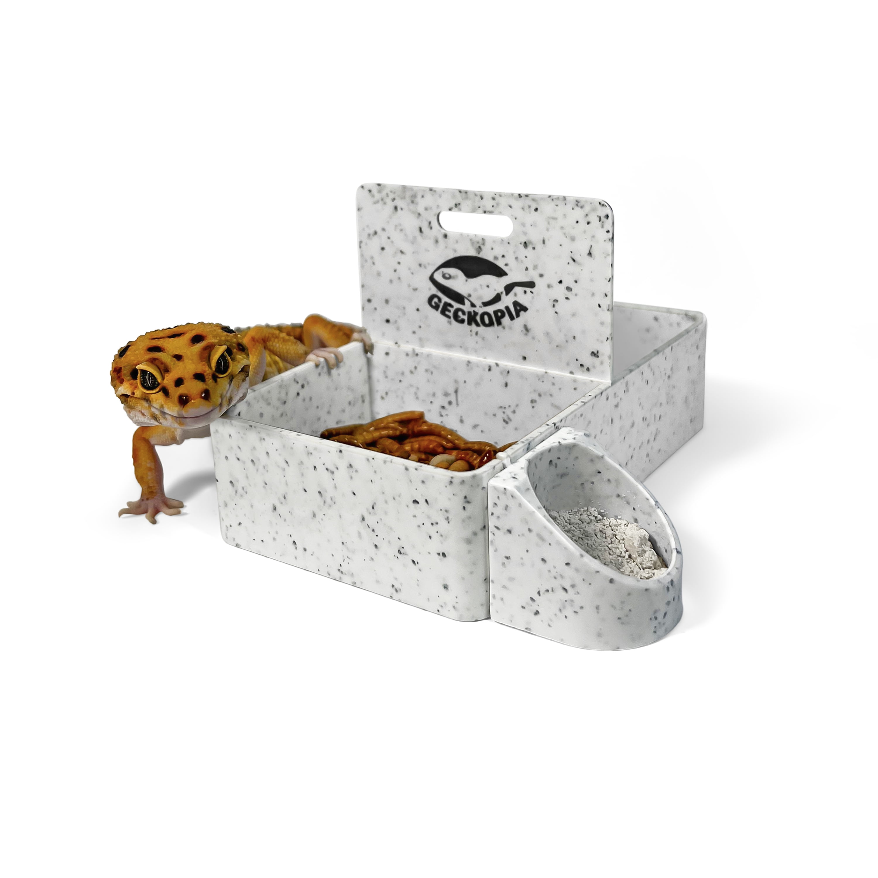 Geckopia Triple Dish | 3 in 1 Reptile Dish | Gecko Bowl | Reptile ...