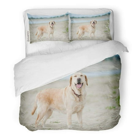 HATIART 3 Piece Bedding Set Yellow Beach Labrador Dog Smiles Lab Water ...