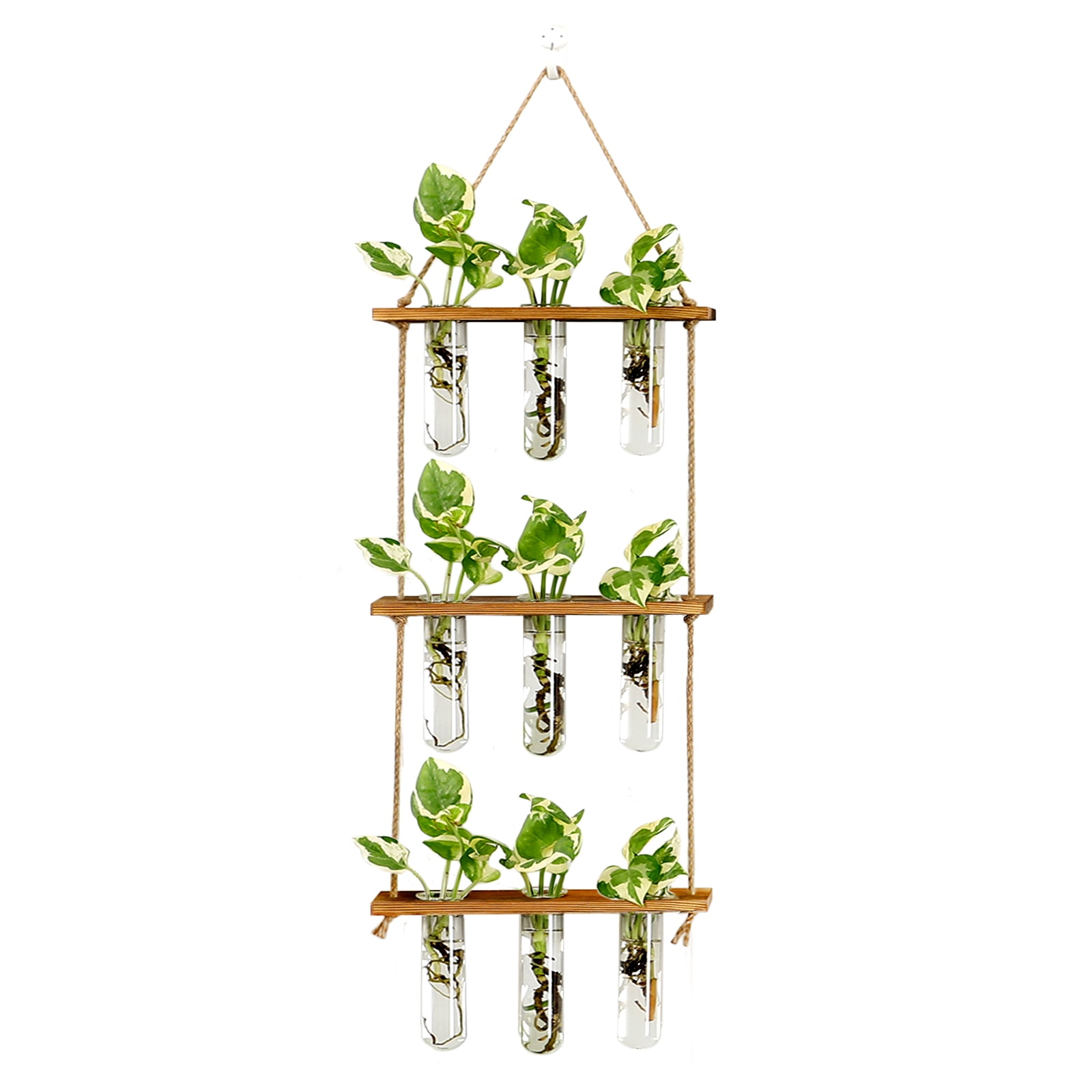 XXXFLOWER Wall Hanging Propagation Station with 9 Tubes, Planter ...
