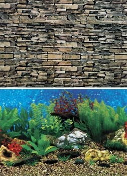 Shale Wall / Hawaii Blue 32" X 50" - Walmart.com