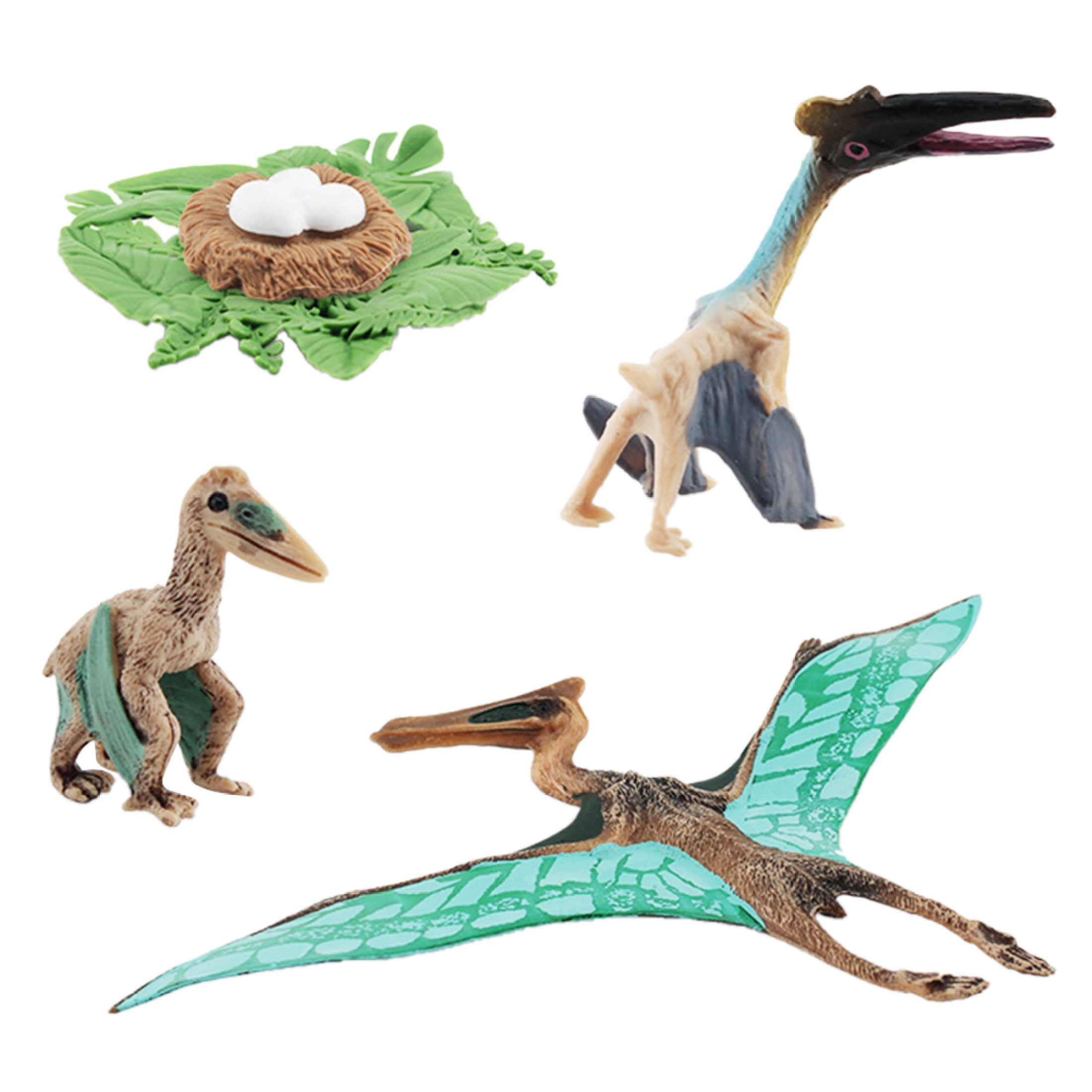 LICHENGTAI Dinosaur Growth Cycle Animal Doll Kit Life Cycle Teaching ...
