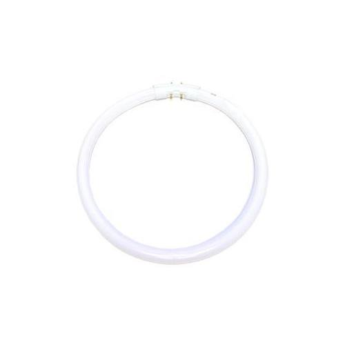 (2 Pack) FC22T5/835 - 9 T5 Flurescent Circline - 40 Watt - 3500K Kelvin ...