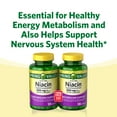 Spring Valley Niacin Dietary Supplement Capsule Twin Pack, 500mg, 240 ...