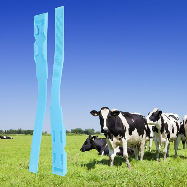 Livestock Identification Card, Chicken Identification Band 3.3 X 1.6in ...