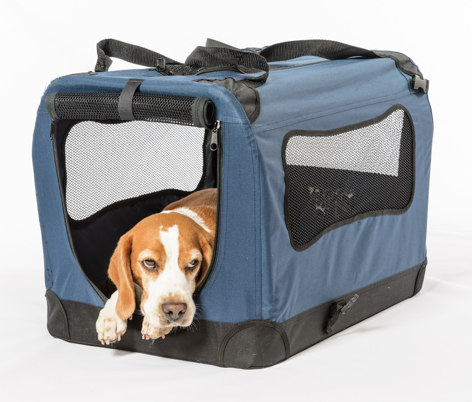 2PET Foldable Dog Crate Soft Easy To Fold Carry Dog Crate For