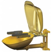 Eye Wash Station Cover