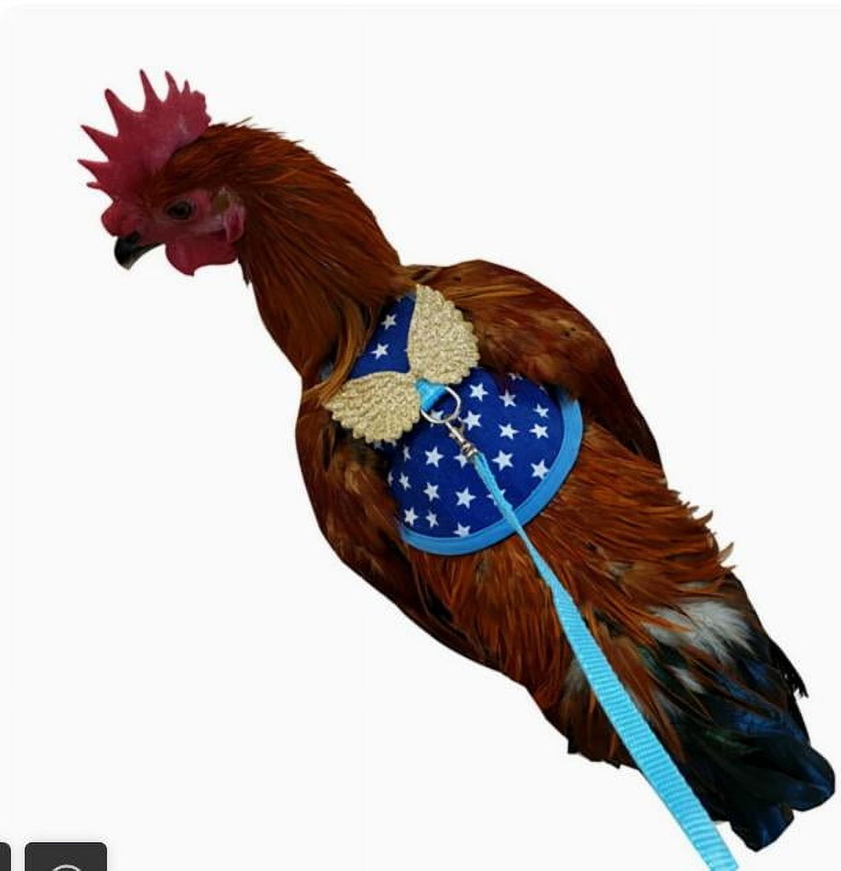 BRIGHTFUFU Arnés de pollo y correa atuendo de gallina de pollo | Bodega ...