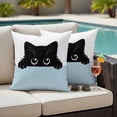 Black Cat Outdoor Pillow Covers Set of 2 Cute Cat Cartoon Animal with ...