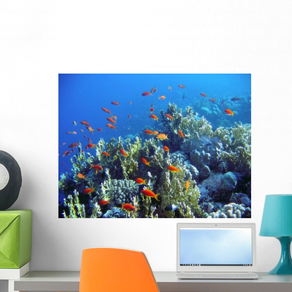 Life under Water Wall Mural Decal Sticker, Wallmonkeys Peel & Stick ...