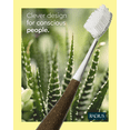 Radius Source Toothbrush with Replaceable Heads, Value Pack, 1 Handle ...