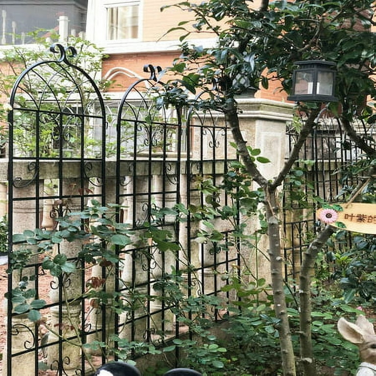 Metal Trellis For Vines Houston This Clever Technique Of Trellising