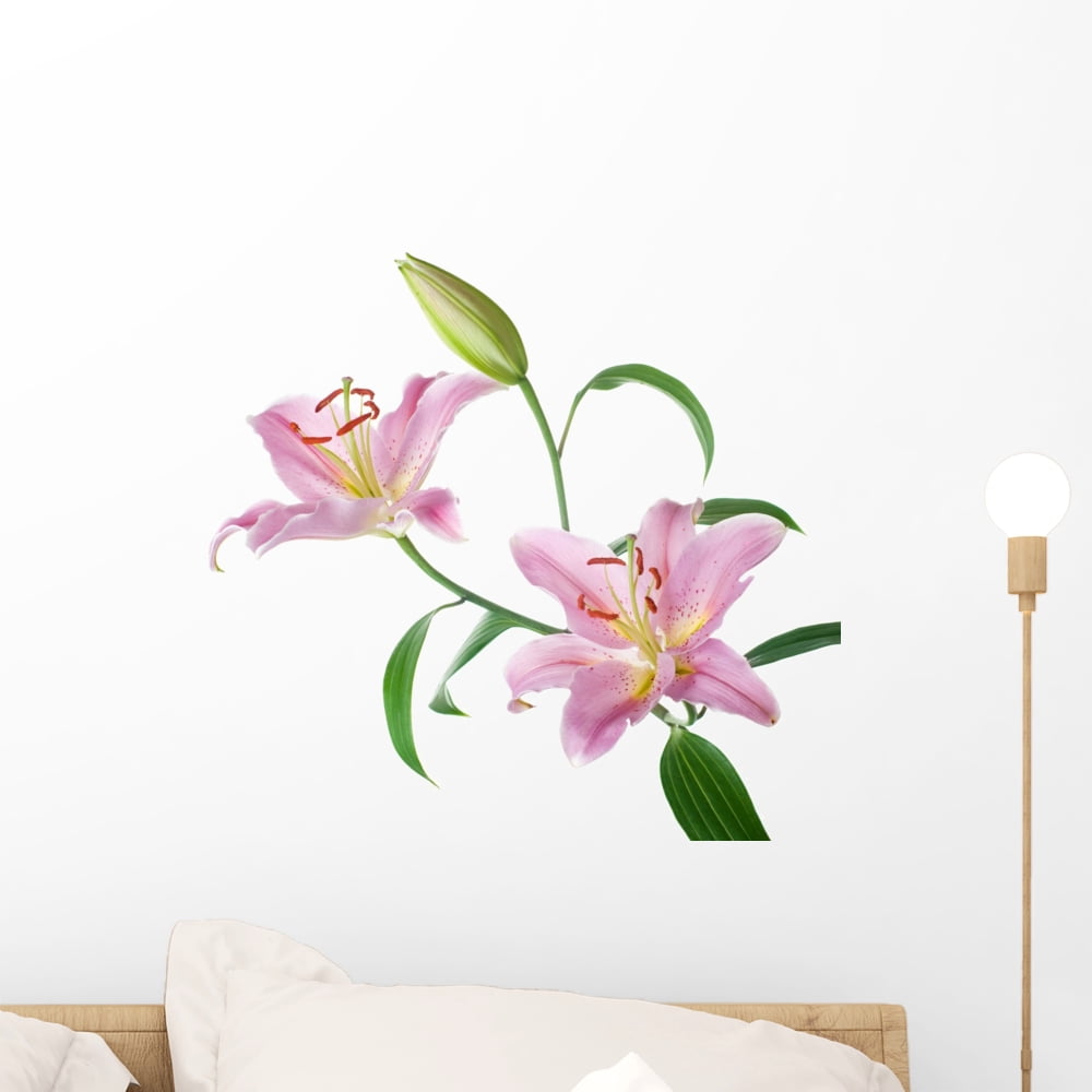 Pink Lilly Flowers Wall Decal by Wallmonkeys Peel and Stick Graphic (18 ...