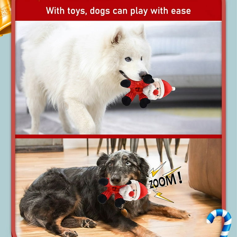 Downtown Pet Supply Dog Toy, President Chomp Dog Chew Toy, 59% OFF