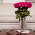 Hot Pink Roses Gift - Farm Direct Fresh Cut Flowers - 24 Stems - by ...