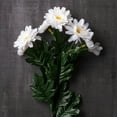 24 Pack: White Aster Daisy Spray by Ashland® - Walmart.com