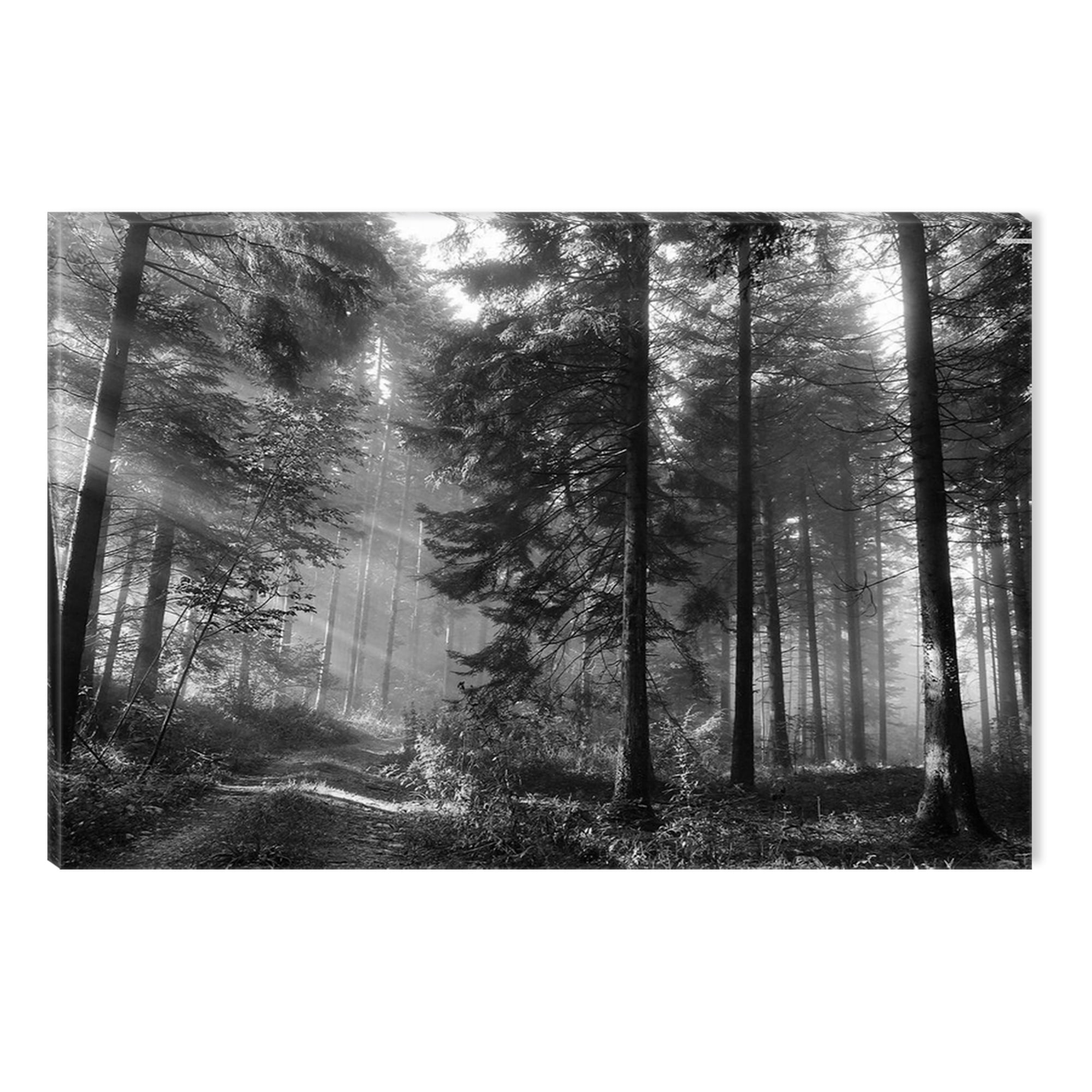 Paintings Black And White Nature