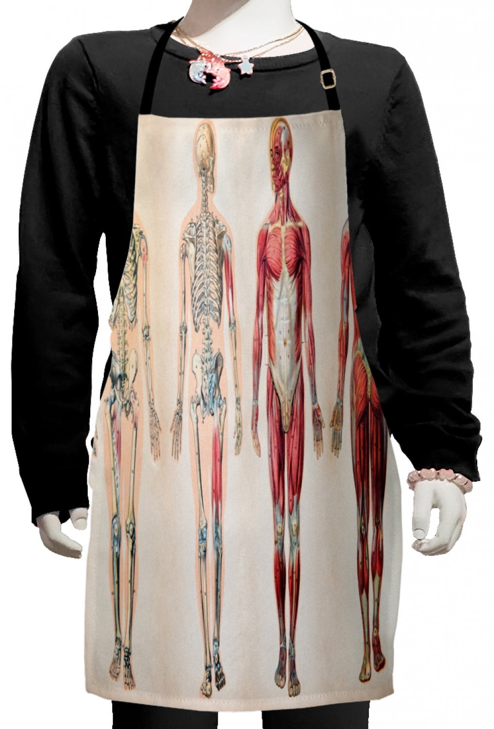 Human Anatomy Kids Apron, Vintage Chart of Body Front Back Skeleton and ...