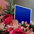 3drose, Color Egyptian Blue, 6 Greeting Cards with Envelopes - Walmart.com